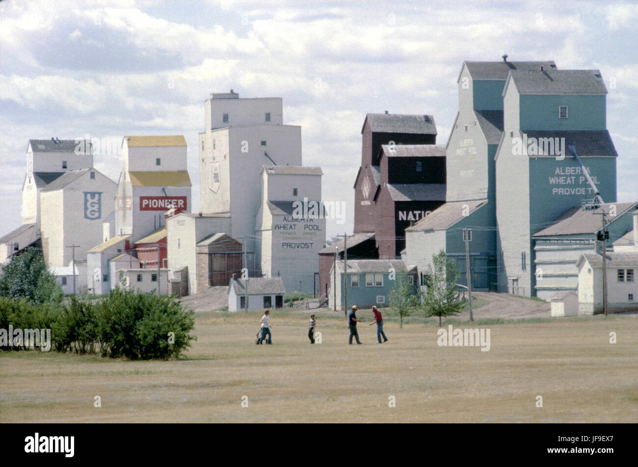 United Grain Growers, Pioneer, Alberta Wheat Pool, and National grain ...