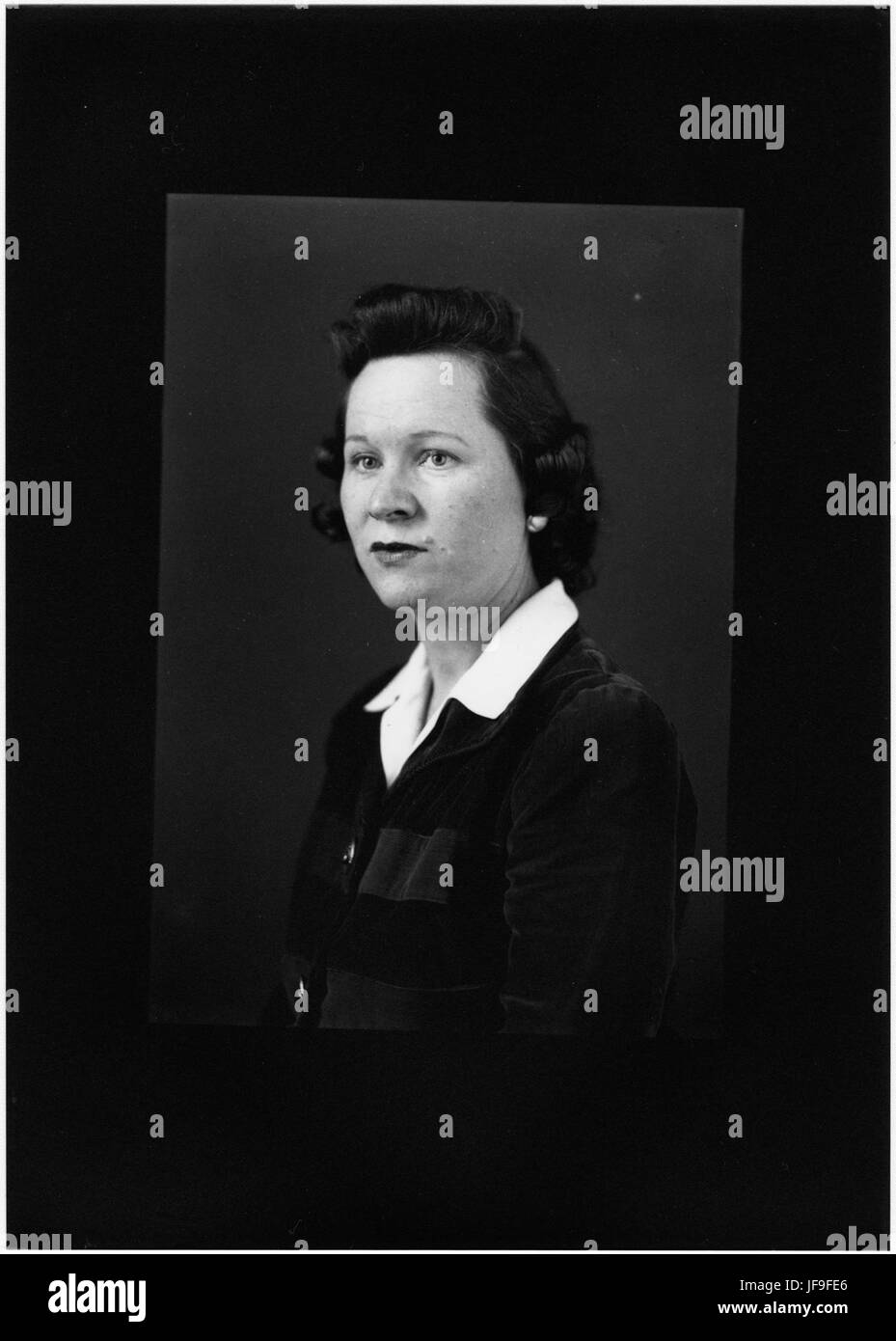 Marris hi-res stock photography and images - Alamy