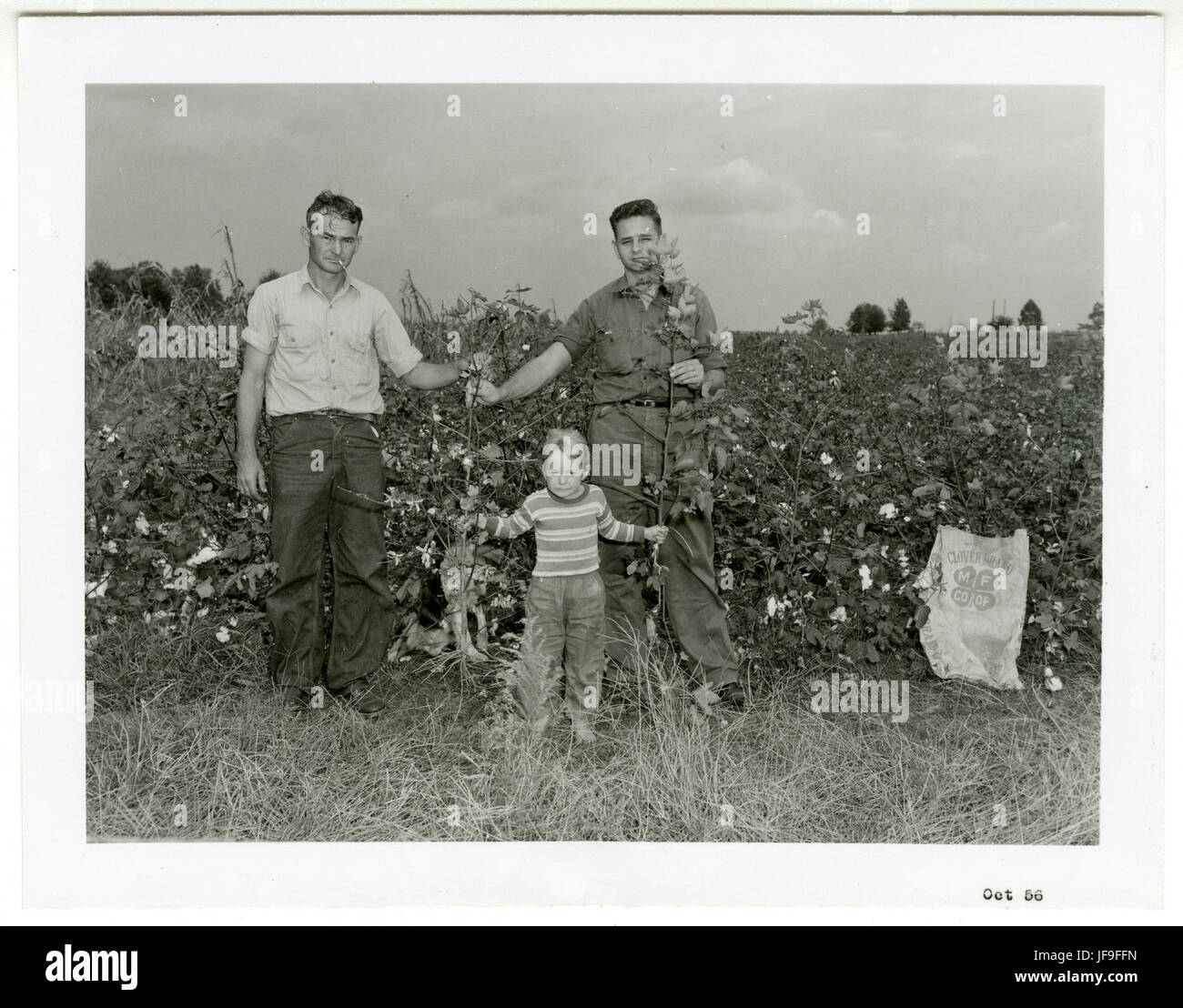 George Co-op 31875587866 o Stock Photo - Alamy
