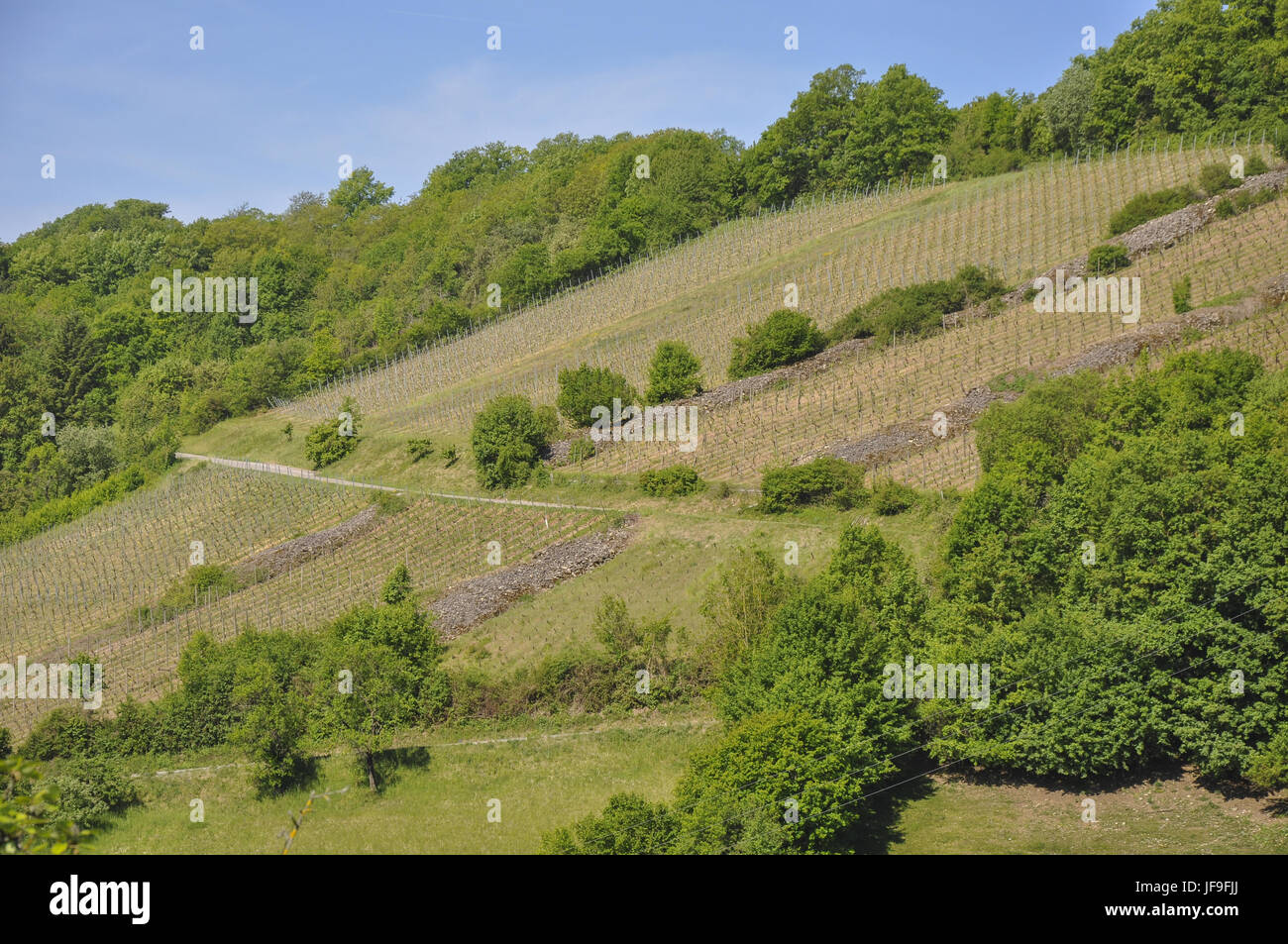 Kuenzelsau belsenberg hi-res stock photography and images - Alamy
