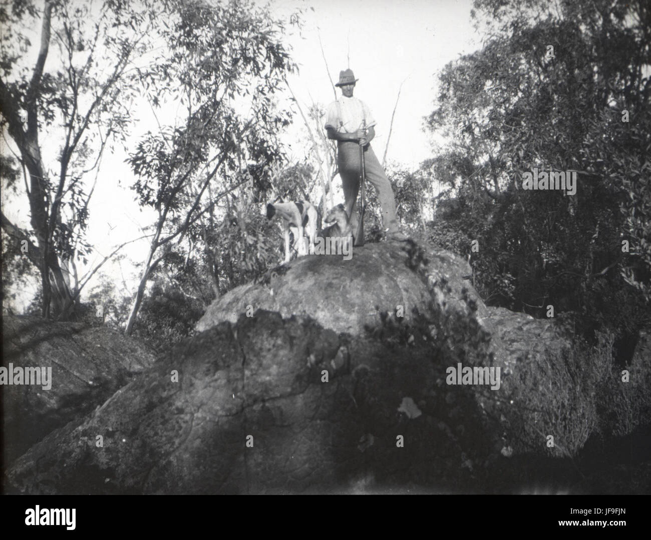 A stunning view of the Australian bush, showcasing the rugged terrain ...