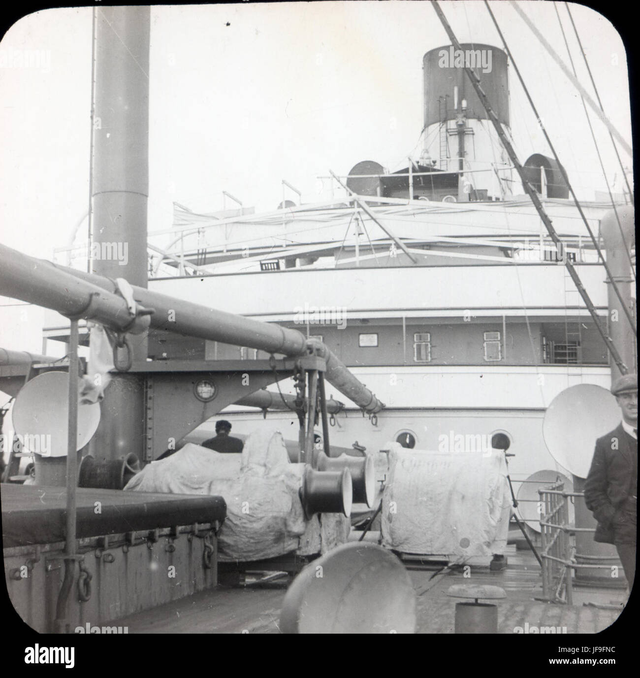 Waratah drawing hi-res stock photography and images - Alamy