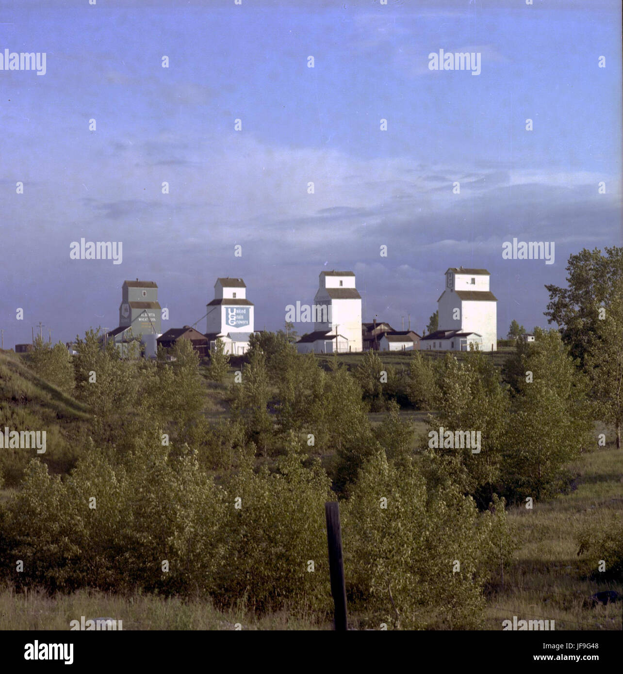Grain elevators at the Alberta Wheat Pool and United Grain Growers in ...