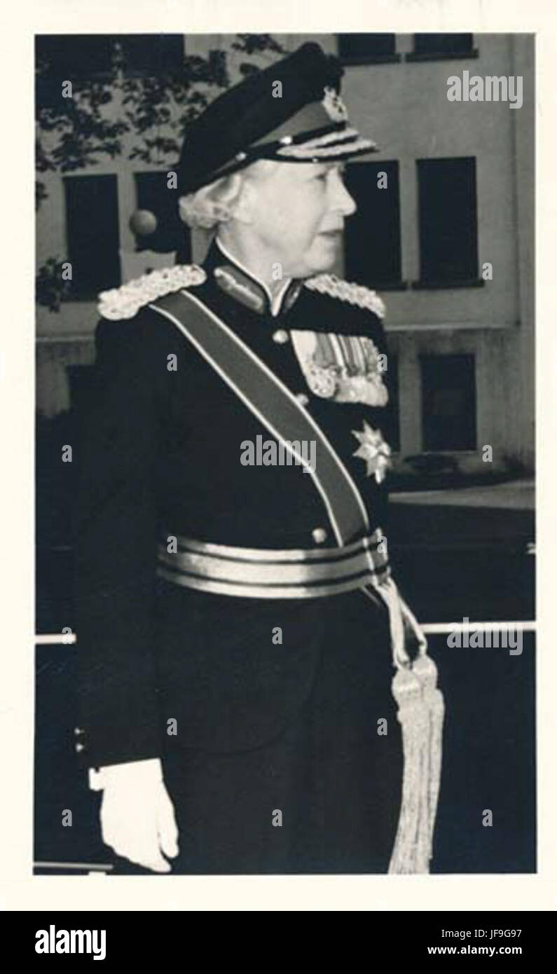 A regal portrait of HRH The Princess Royal, capturing her noble ...