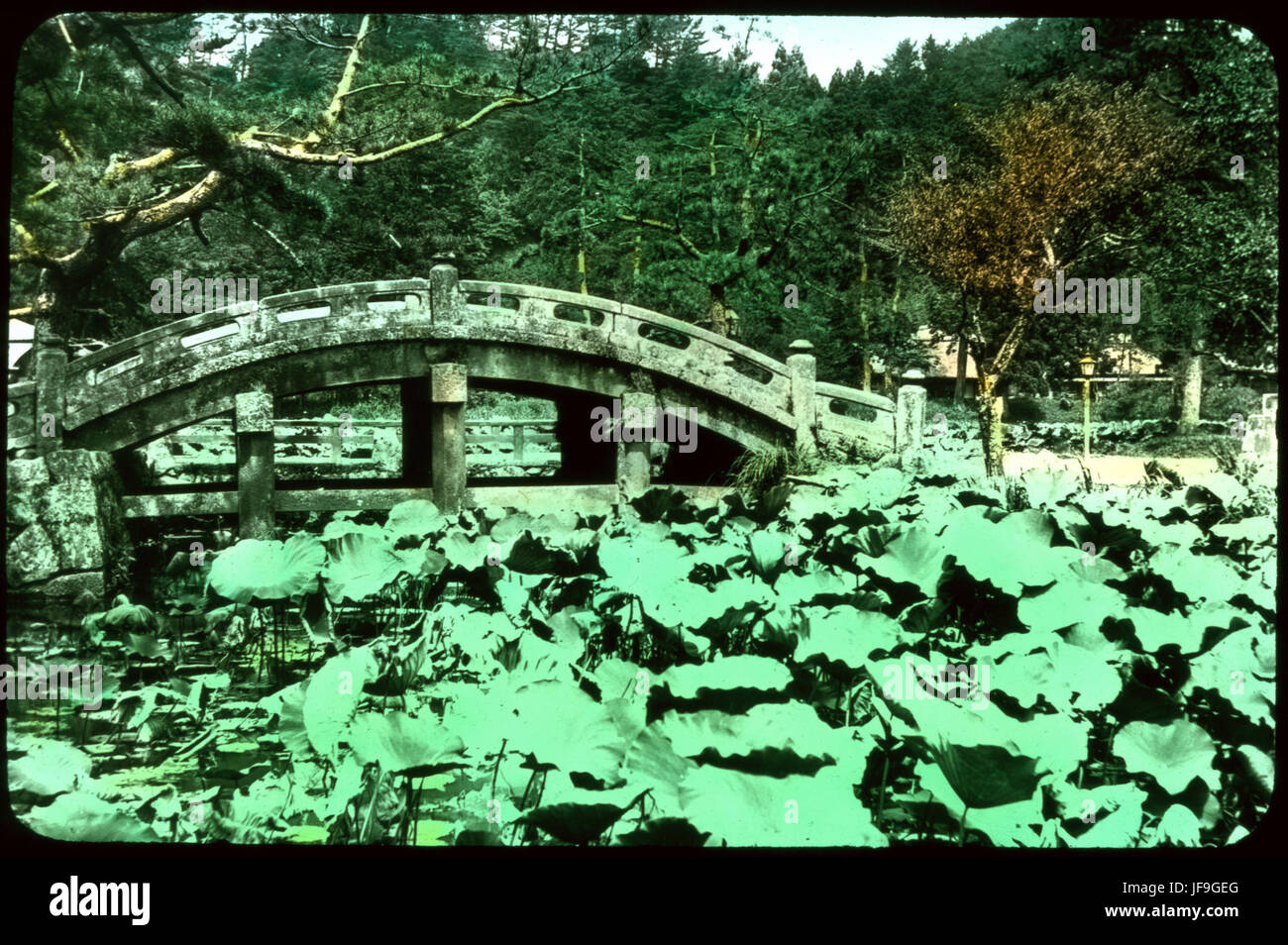 Curved stone bridge in rural area: An ancient stone bridge standing ...