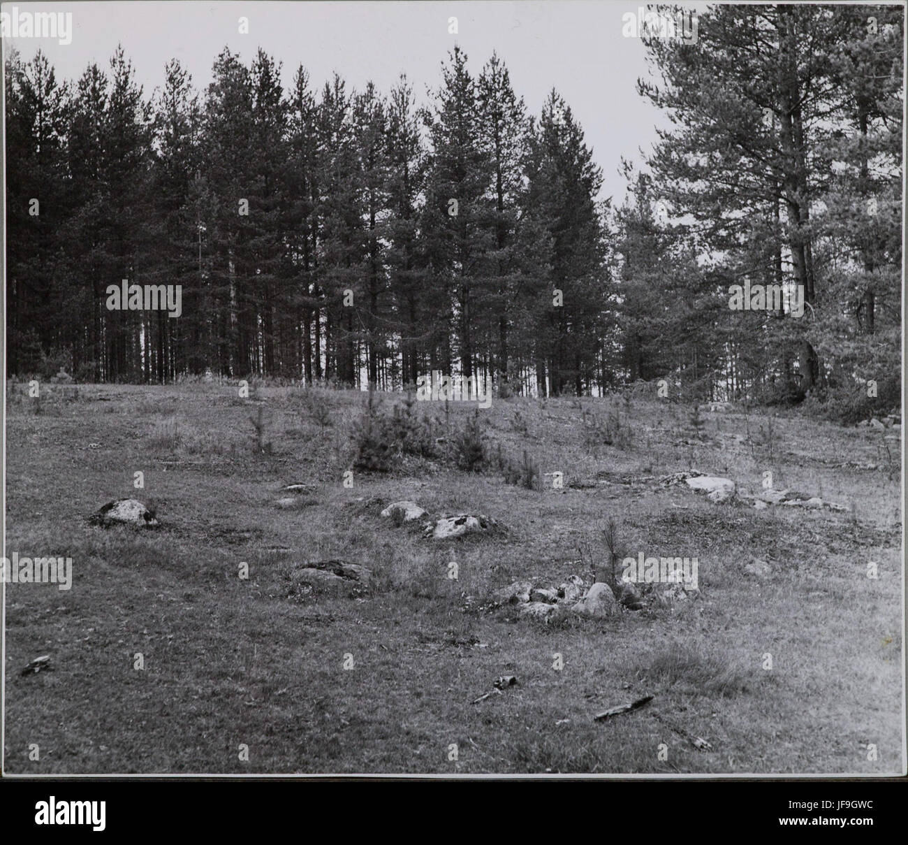 Landscape photograph of a clearing lined by forest in the Stock Photo ...