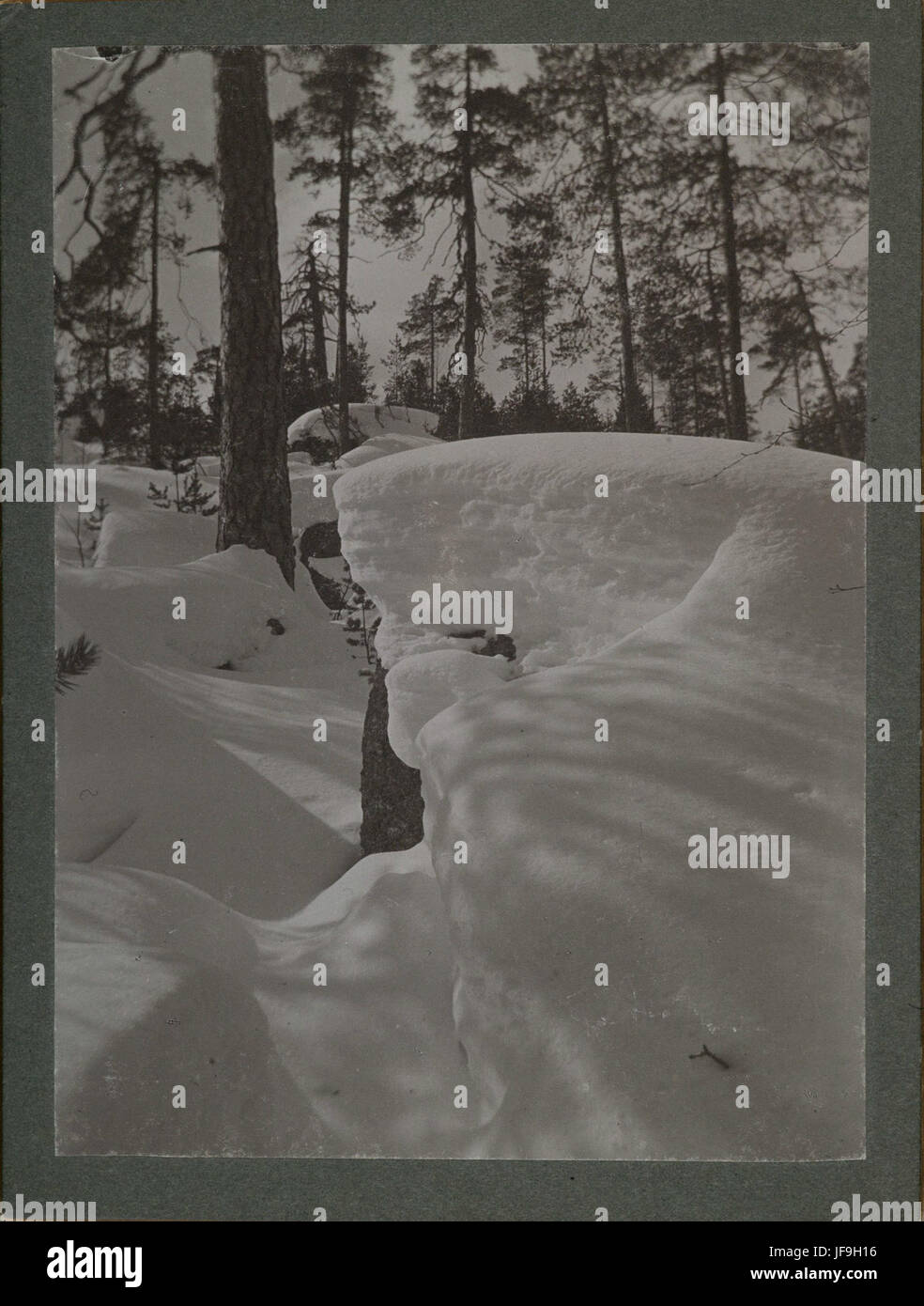 A detailed photograph of a snow-covered boulder in a forest, capturing ...