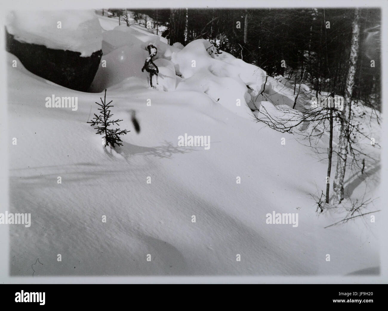 Detail of a snow-covered downhill slope: A detailed photograph of a ...