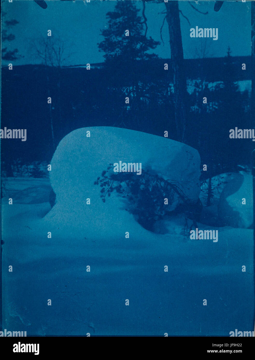 Cyanotype of a Boulder with Trees in Background, capturing a serene ...
