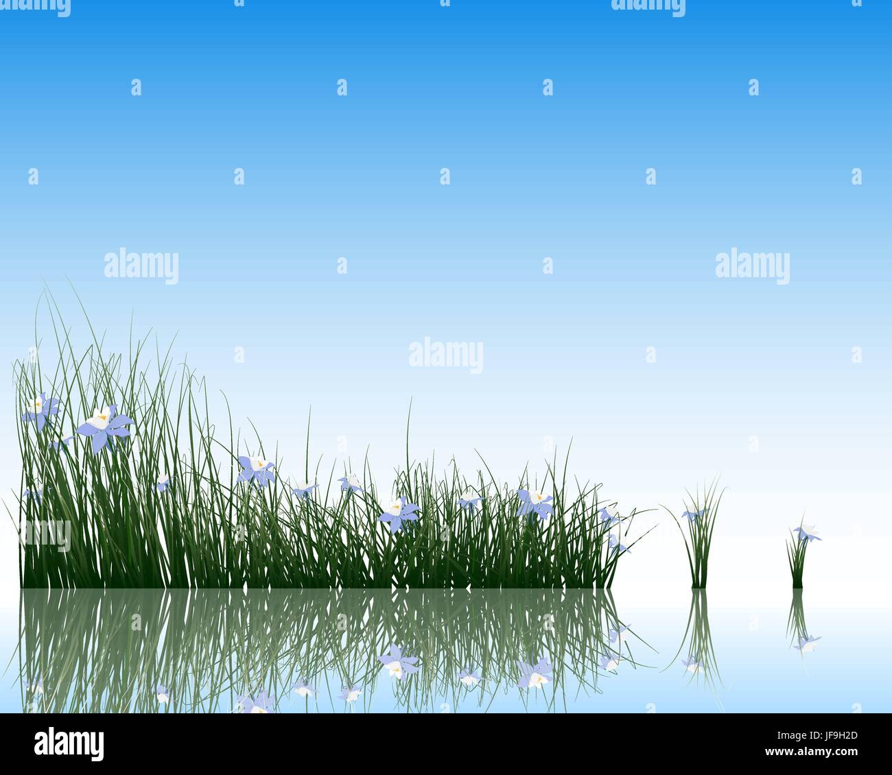 Bog flower Stock Vector Images - Alamy