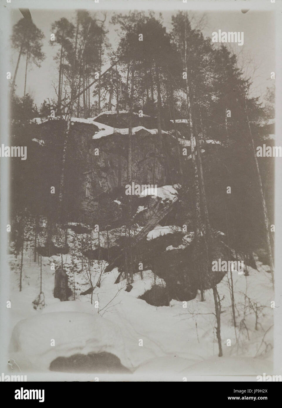 Sheer cliff face in a snowy, springtime forest Stock Photo - Alamy