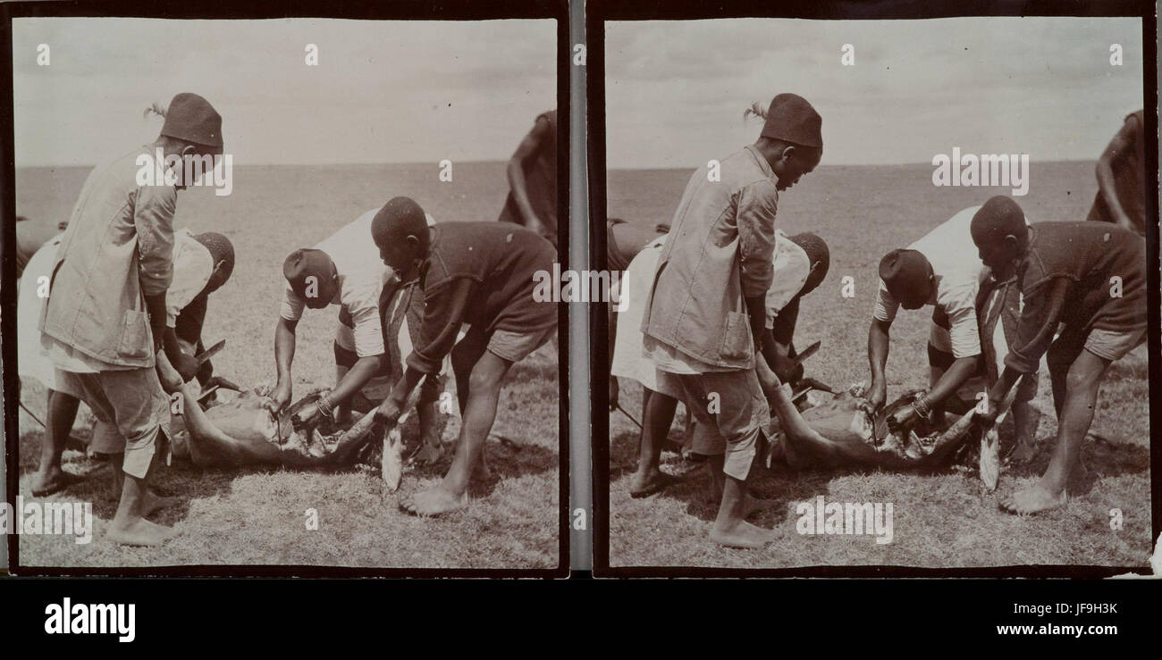 Local men in a rural setting are seen chopping up the carcass of an ...