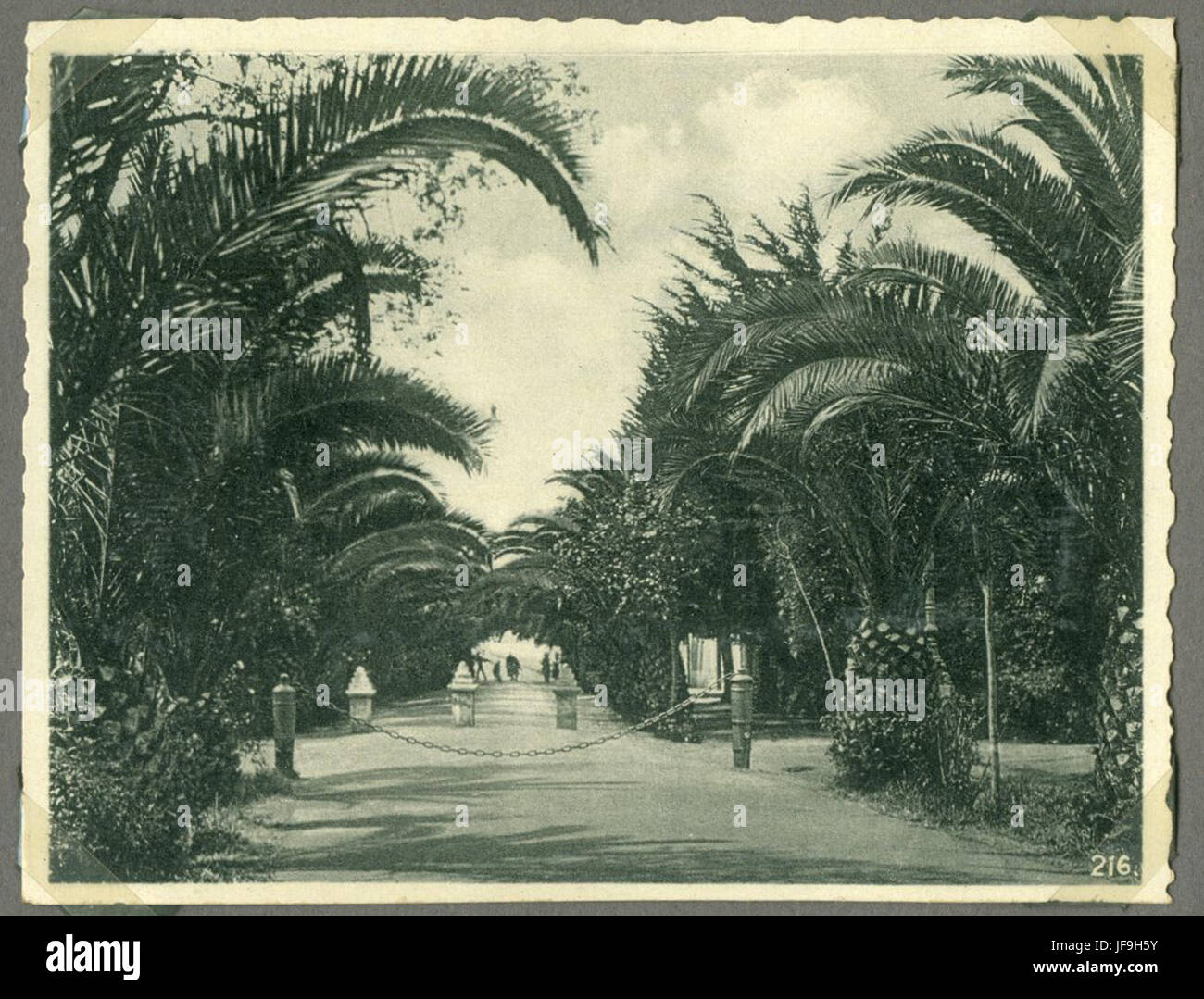 A passage to the Congo in 1939, documenting the colonial era through ...