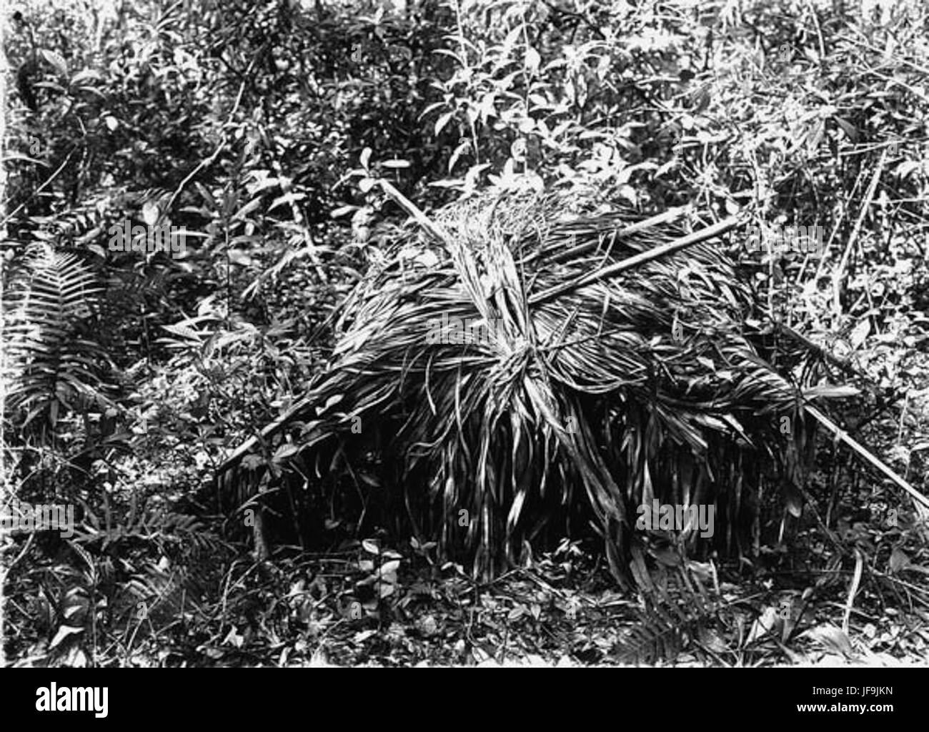 An ancient burial or cache site on Long Key, Florida, significant for ...