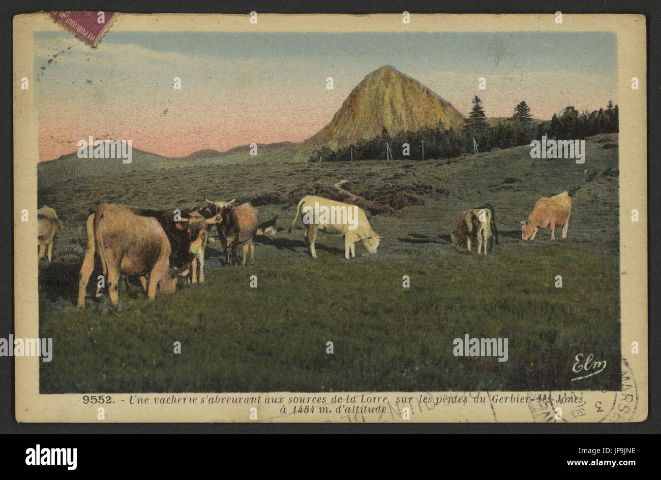 Rural landscape cattle river hi-res stock photography and images - Alamy