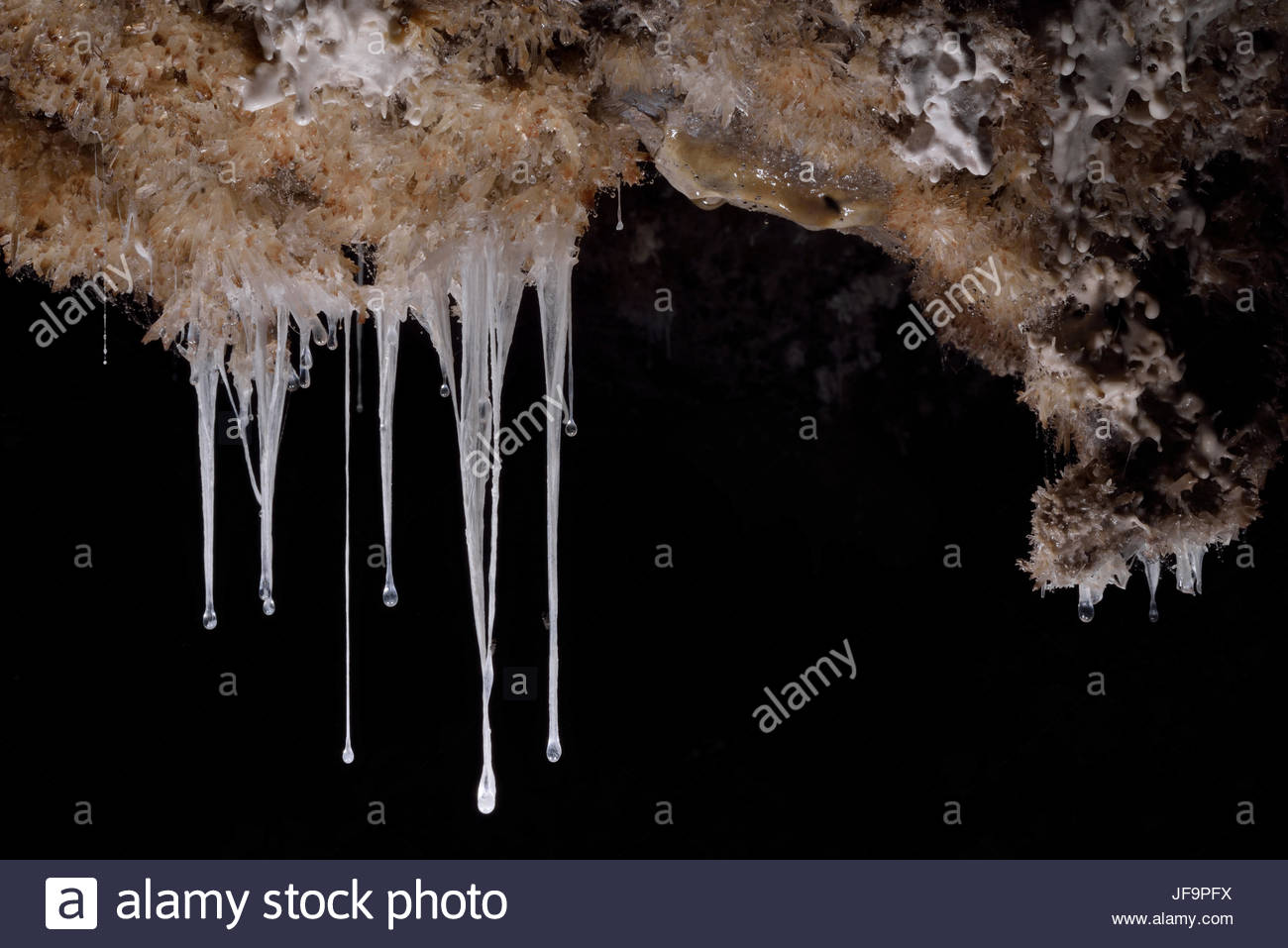 Hydrogen Sulphide Stock Photos & Hydrogen Sulphide Stock Images - Alamy