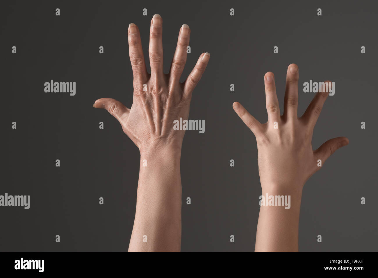 cropped view of human hands up isolated on grey, young and senior ...