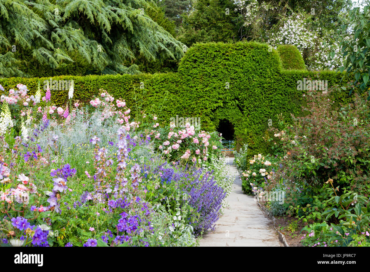 Conifer hedge hi-res stock photography and images - Alamy