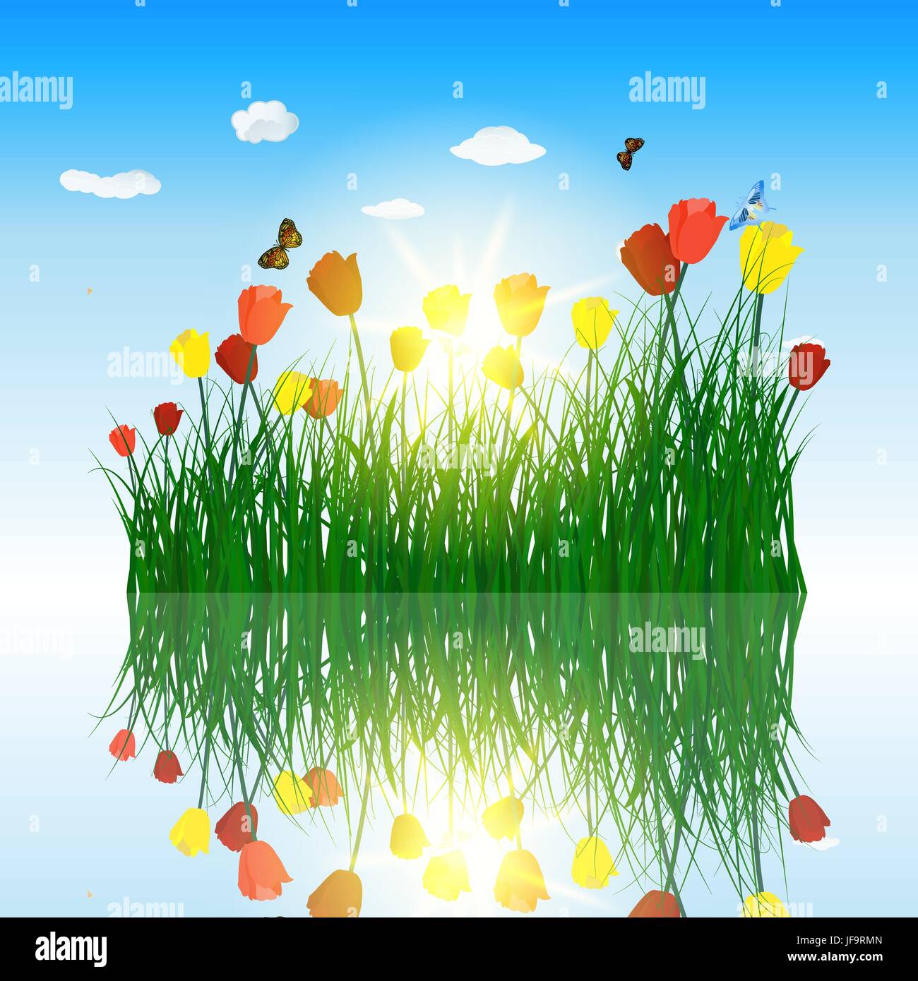 Tulip field tulips in Stock Vector Images - Alamy
