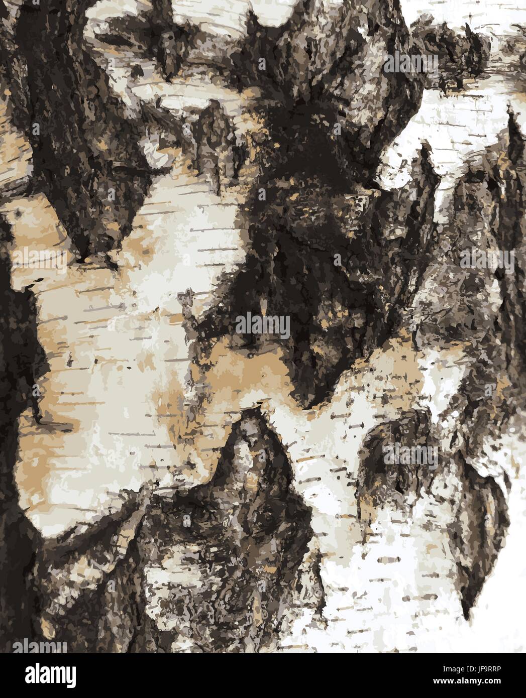 Birch bark texture pattern Stock Vector Image & Art - Alamy