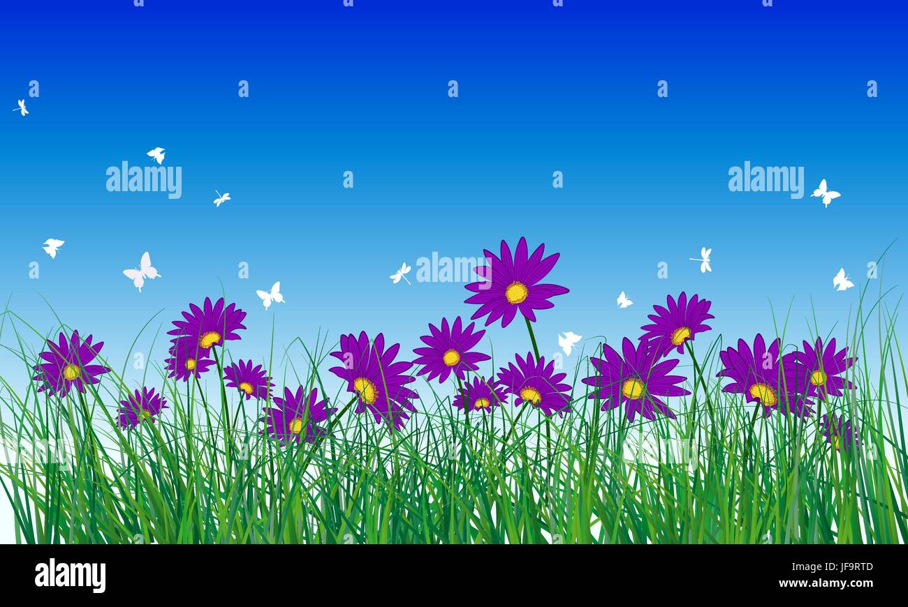 Meadow color background Stock Vector Image & Art - Alamy