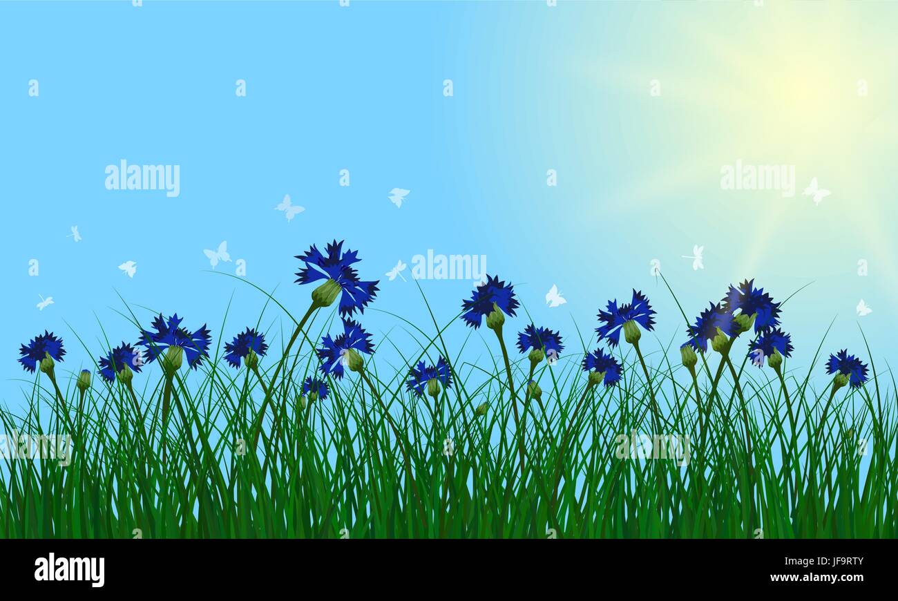Meadow color background Stock Vector Image & Art - Alamy