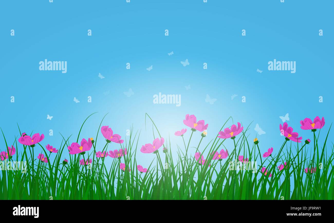 Meadow color background Stock Vector Image & Art - Alamy