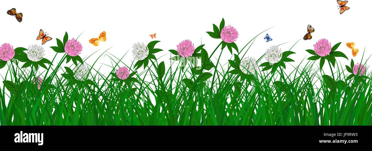 Meadow color background Stock Vector Image & Art - Alamy