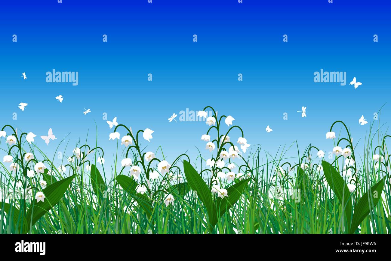 Meadow color background Stock Vector Image & Art - Alamy