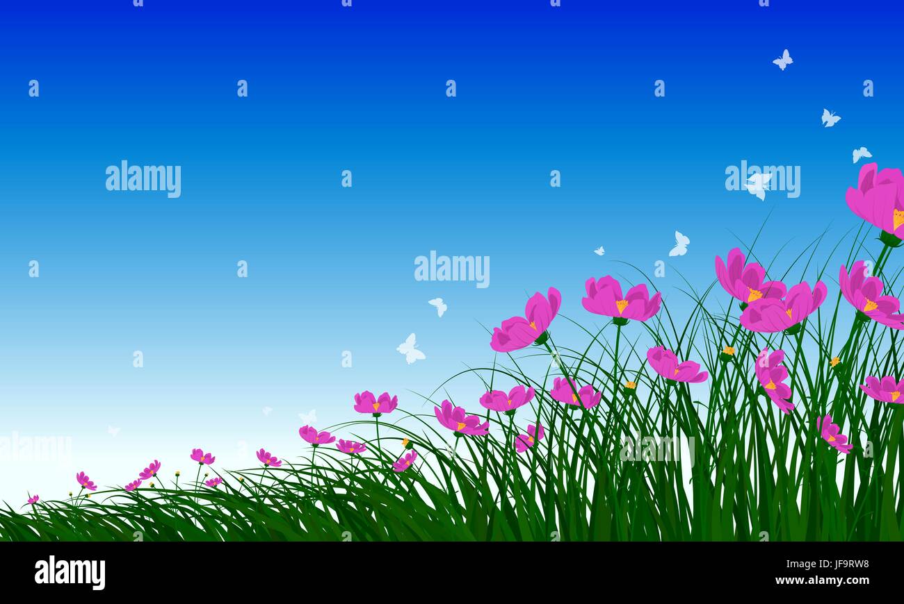 Meadow color background Stock Vector Image & Art - Alamy