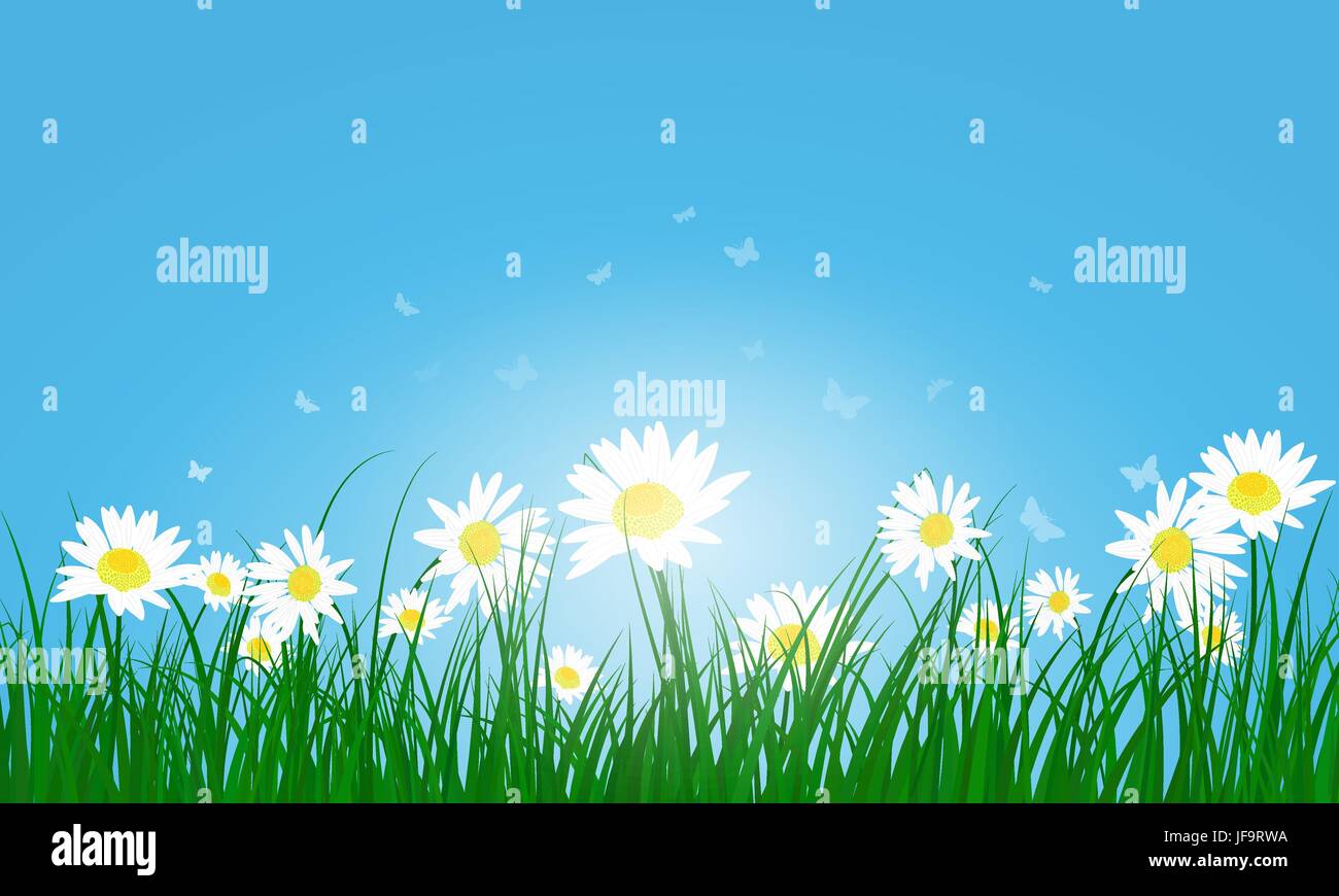 Meadow color background Stock Vector Image & Art - Alamy