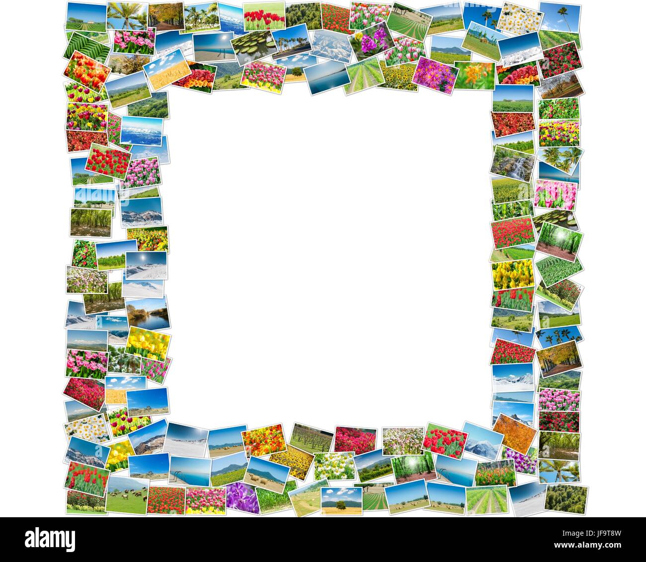 Frame made of various nature photos Stock Photo - Alamy