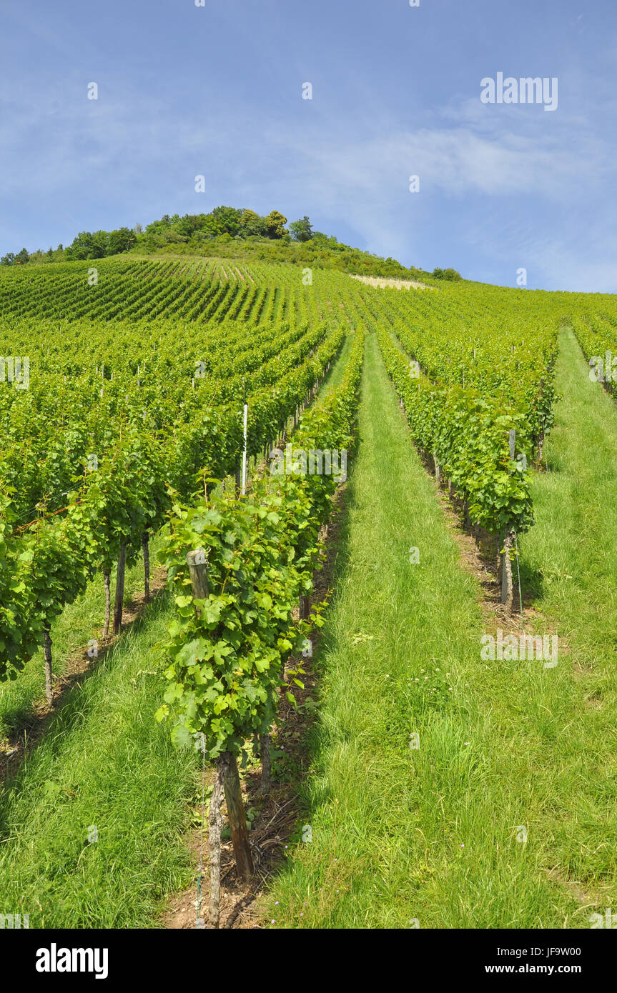 Korber kopf hi-res stock photography and images - Alamy