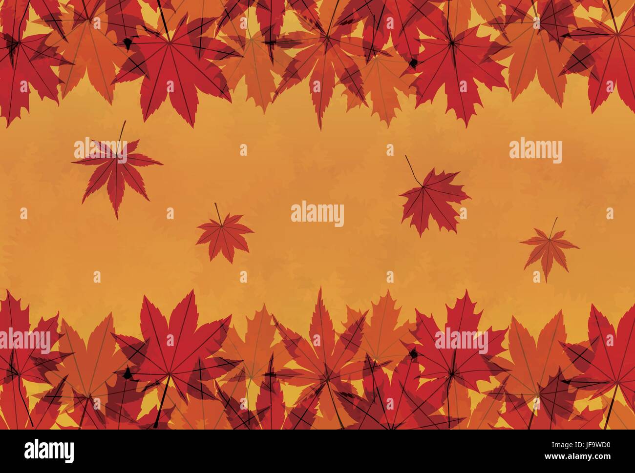 Japanese red maple leaves Stock Vector Images - Alamy
