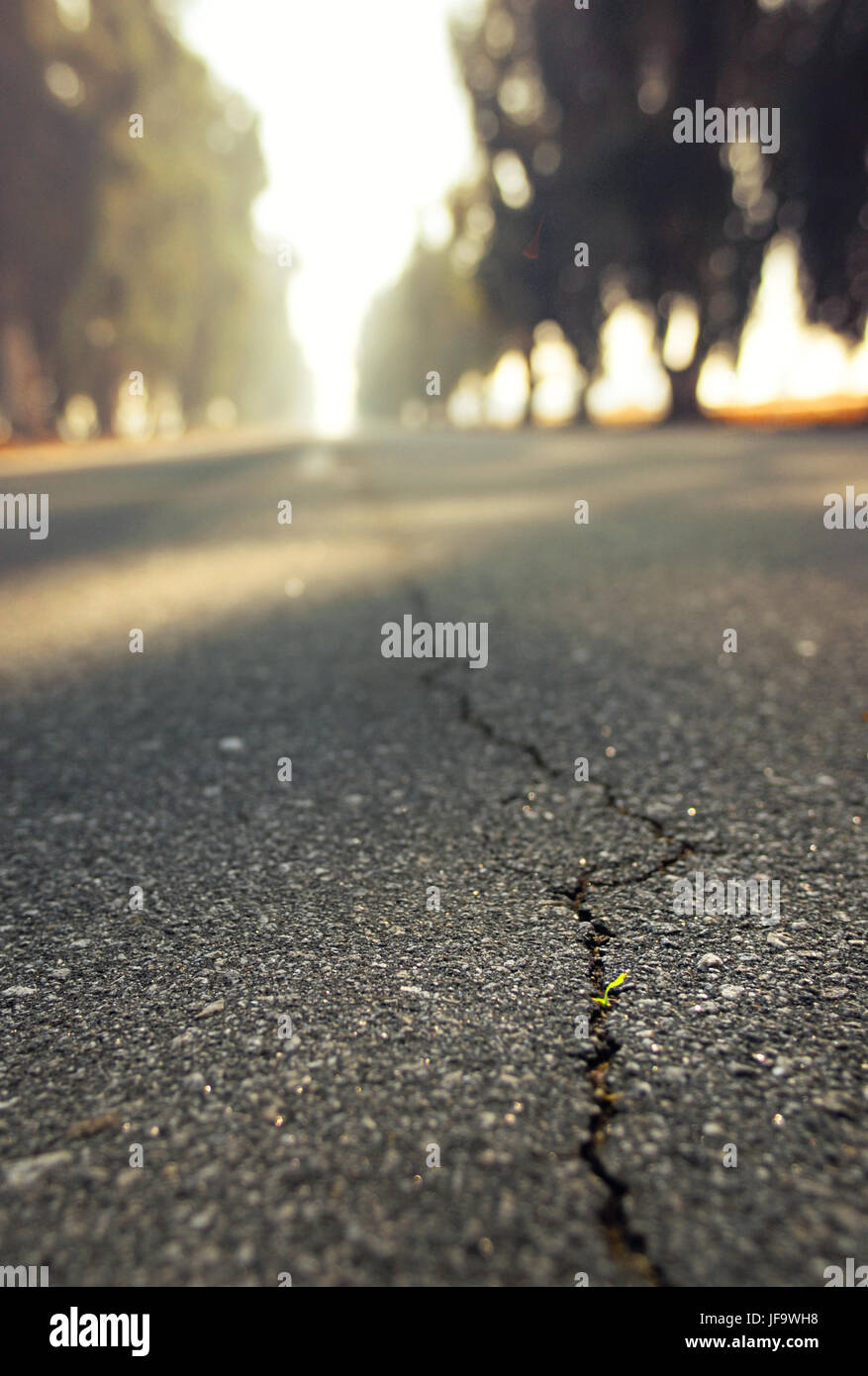 Earthquake crack road hi-res stock photography and images - Alamy