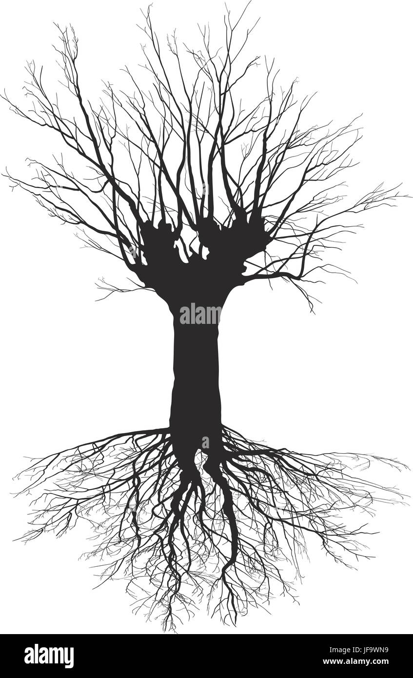 Tree heating Stock Vector Images - Alamy