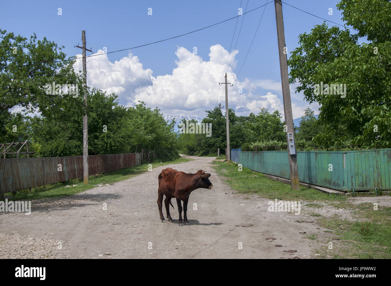 Georgian life hi-res stock photography and images - Alamy