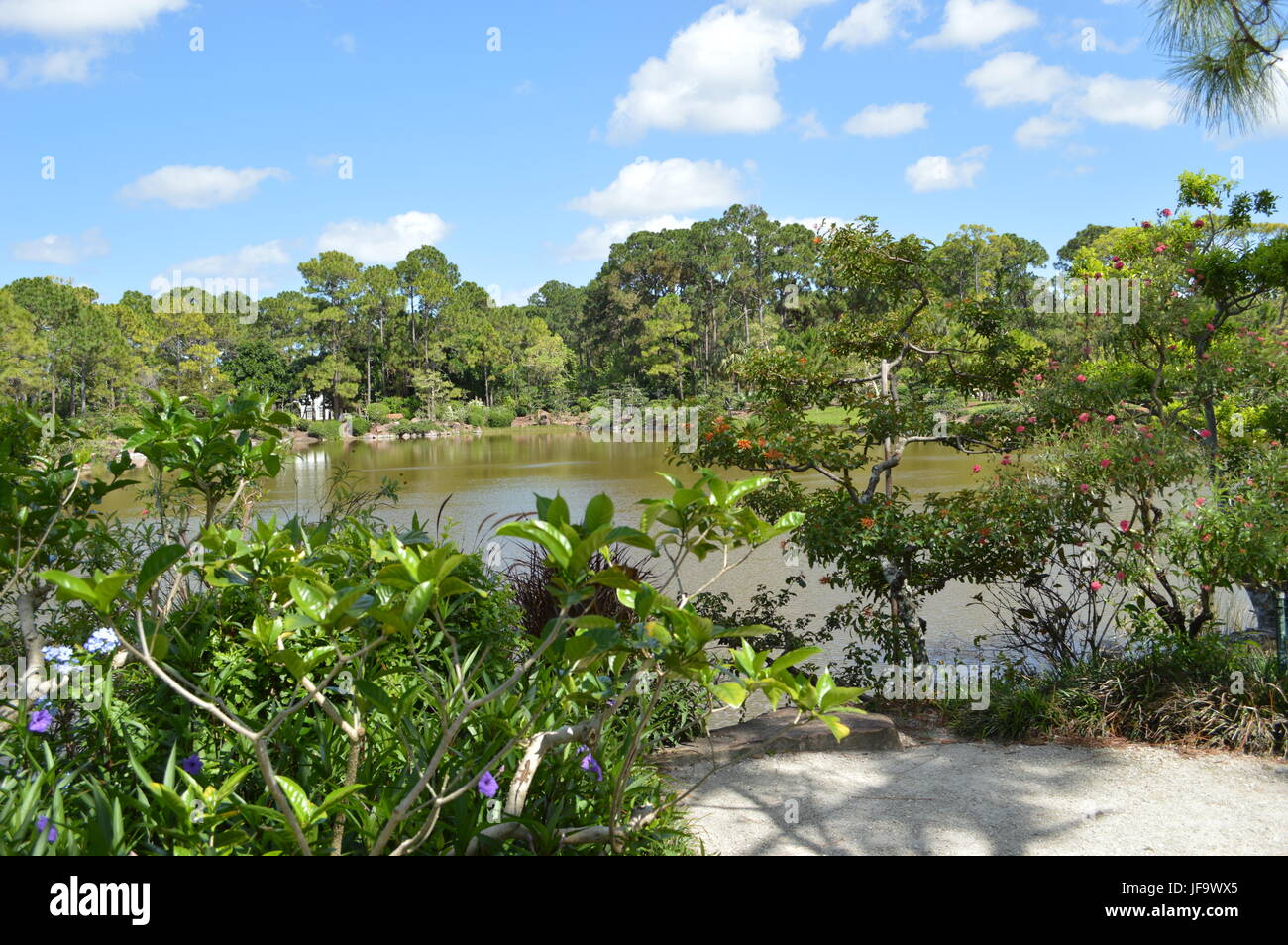 Morikami Museum and Garden Stock Photo - Alamy