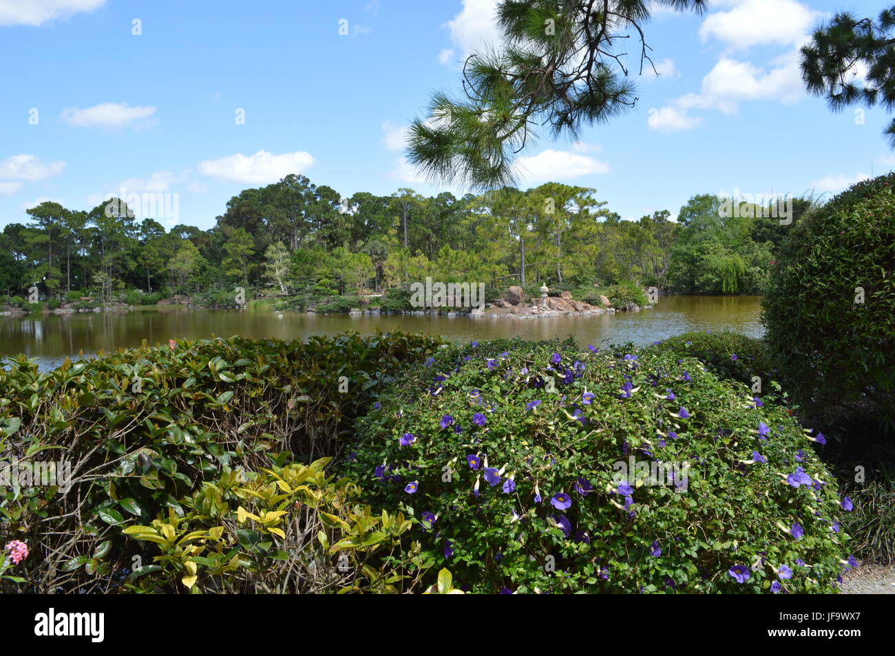 Morikami Museum and Garden Stock Photo - Alamy