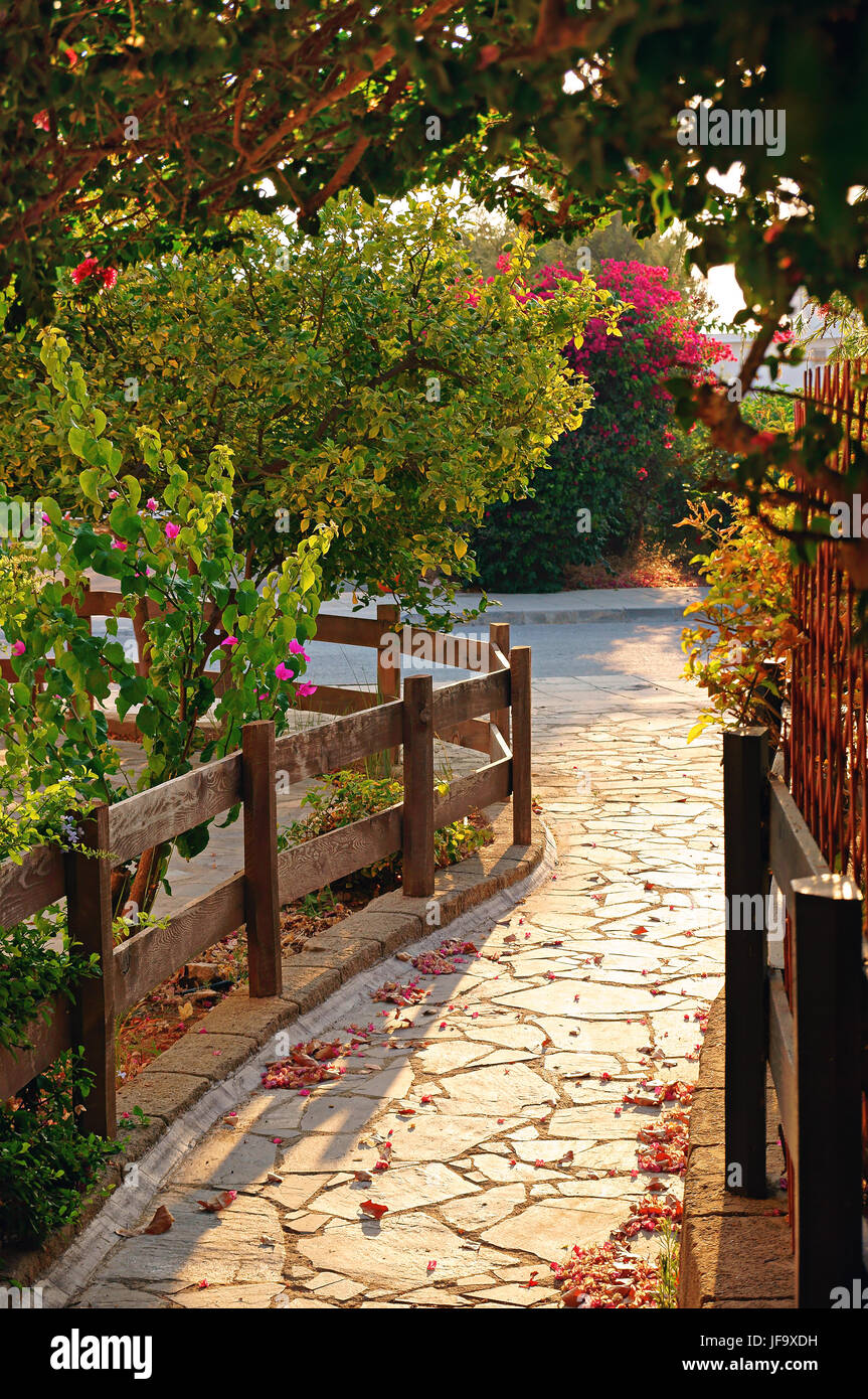 Cozy evening tropical garden path Stock Photo - Alamy