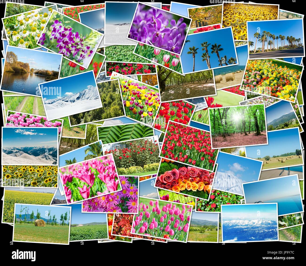 Collage of various nature photos Stock Photo - Alamy