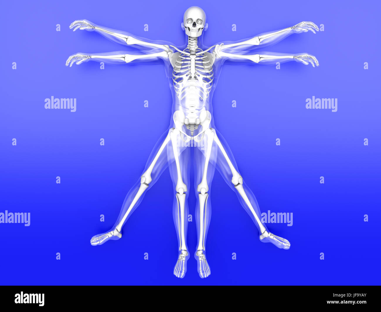 Digital davinci hi-res stock photography and images - Alamy