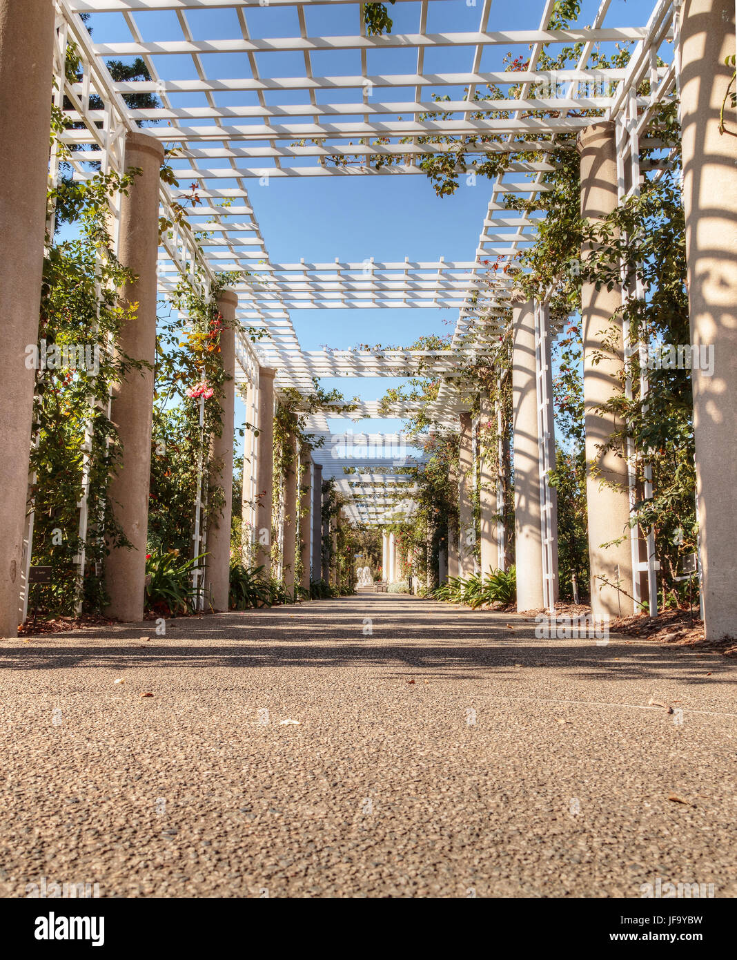 Trellis Walkway Architecture Leisure Seasonwa6180 Outdoor Wooden Arbor