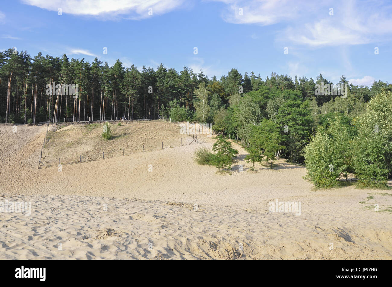 Naturschutzgebiet grunewald hi-res stock photography and images - Alamy