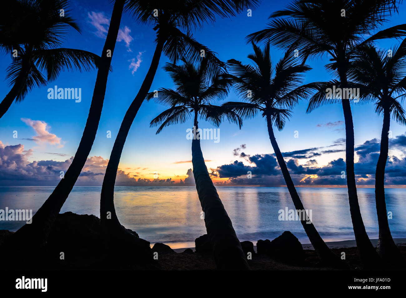 sunset silhouette of palm trees Stock Photo - Alamy