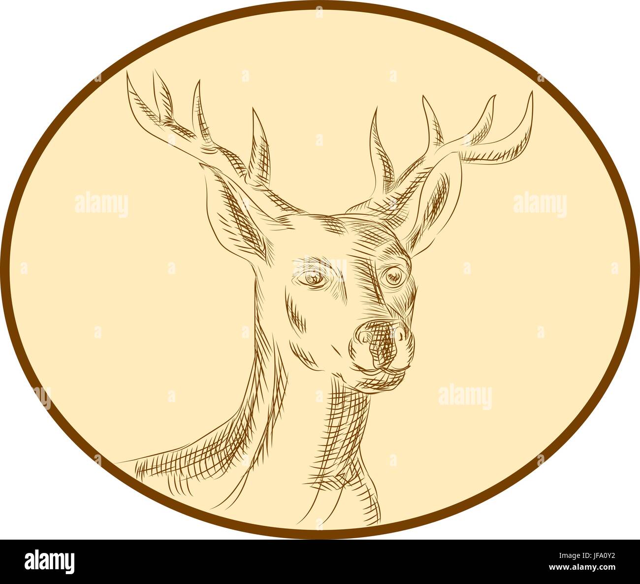 Red deer [cervus elaphus] Stock Vector Images - Alamy