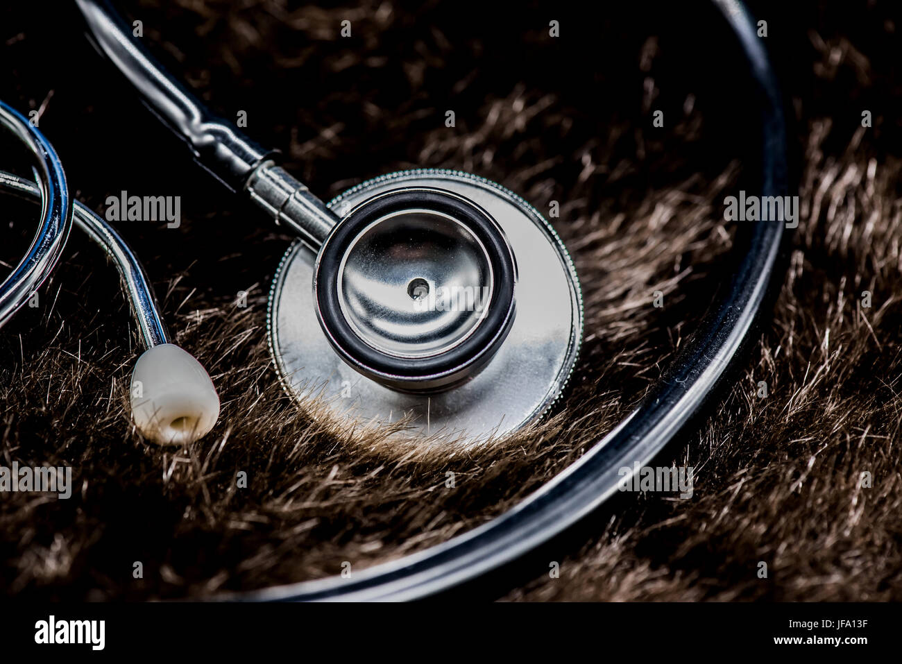Annual physical checkup hi-res stock photography and images - Alamy