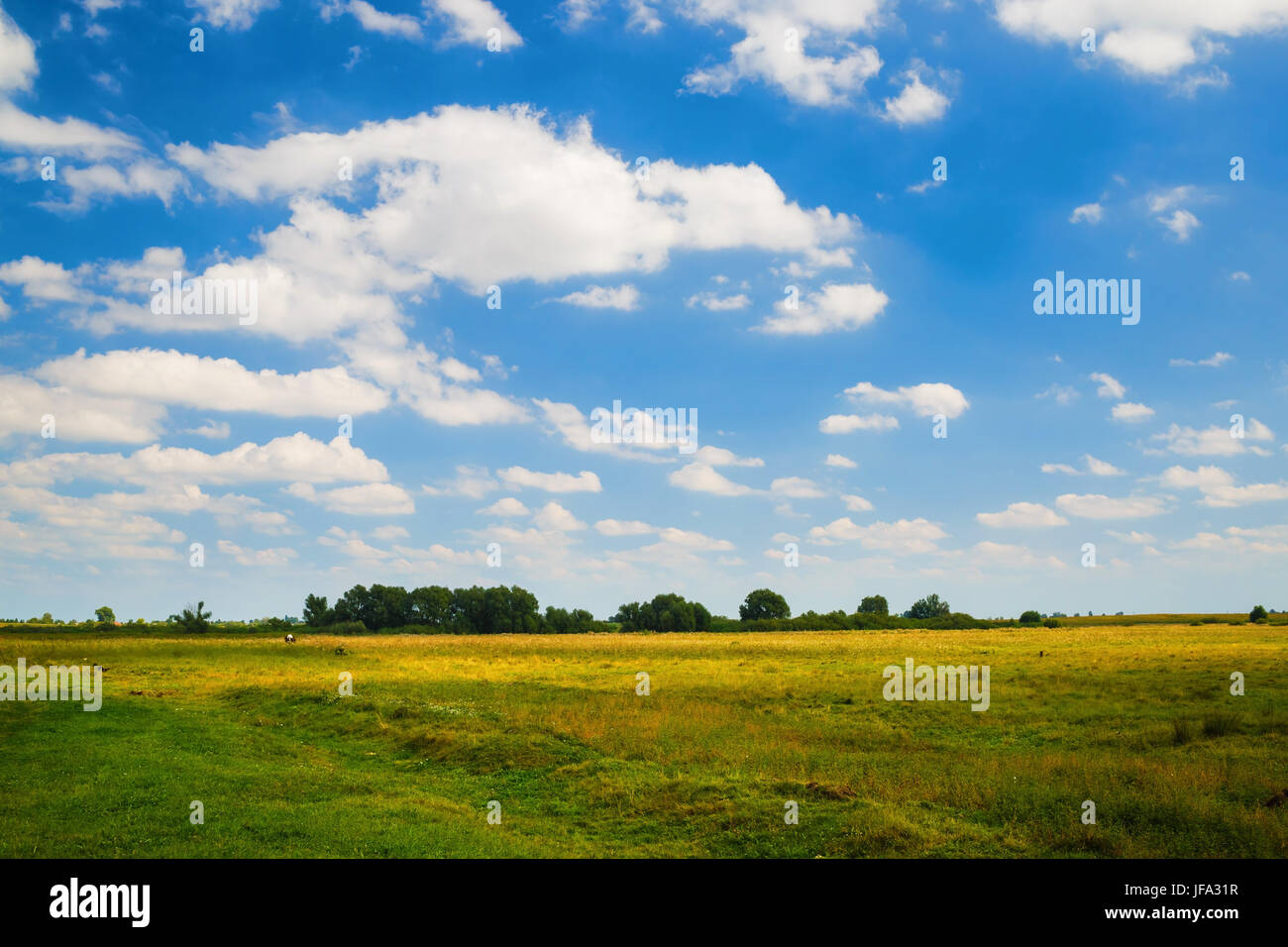 Summer rural landscape Stock Photo - Alamy