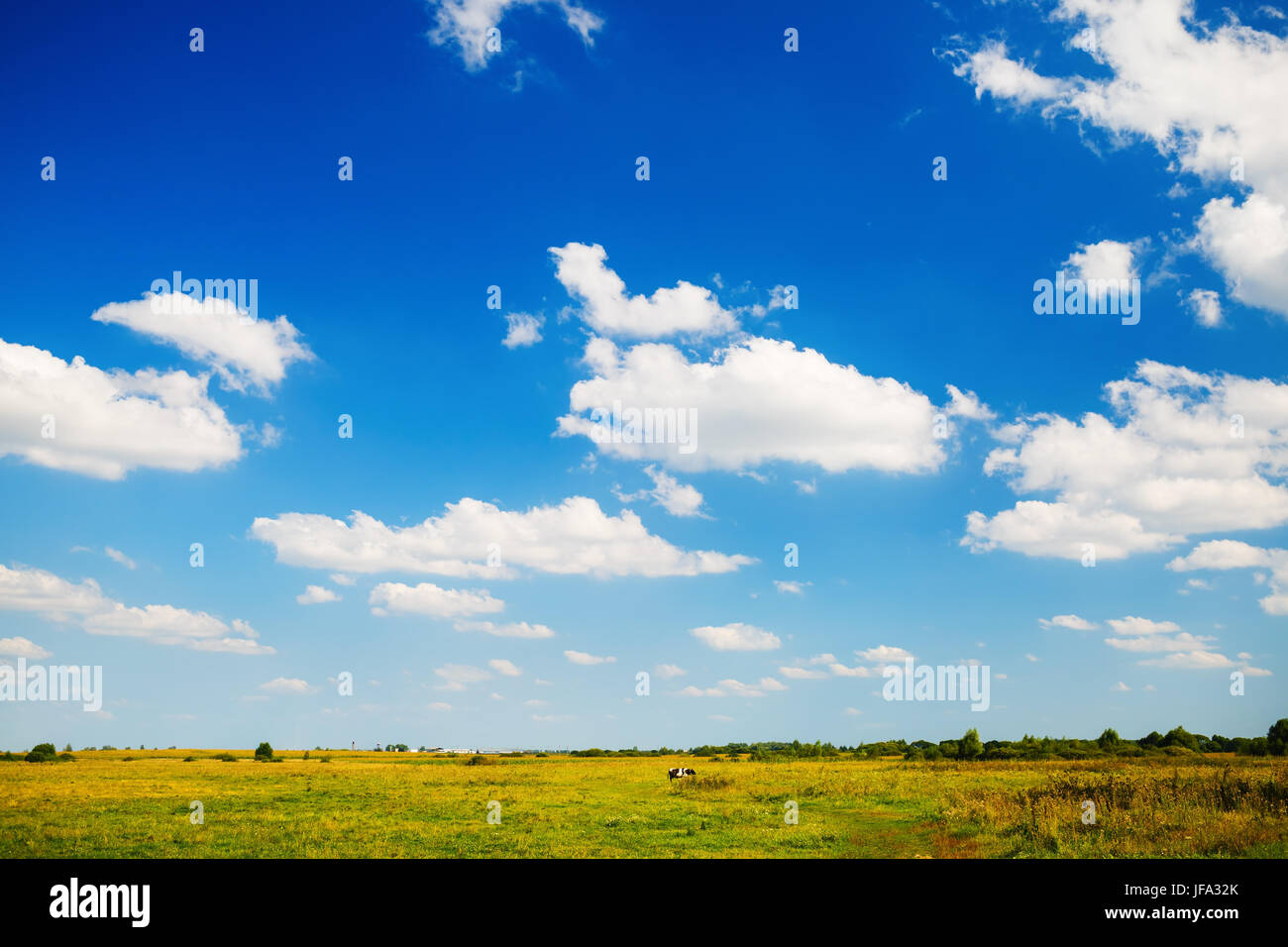 Sunny summer day Stock Photo - Alamy