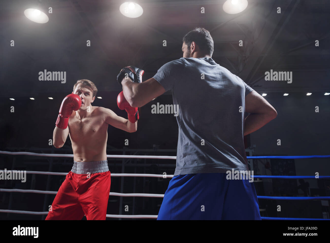 Boxers hi-res stock photography and images - Alamy